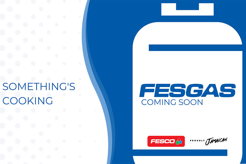 News - FESCO | Future Energy Source Company | Premium Fuel Services in ...